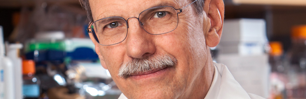 All MBL News | Marine Biological Laboratory